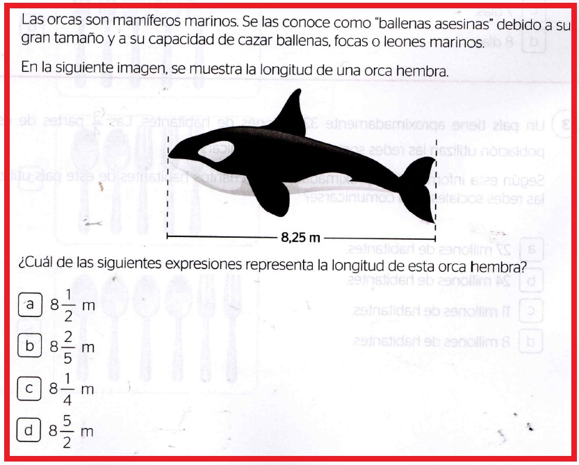 Las orcas son mamíferos marinos. Se las conoce como “ballenas asesinas ...